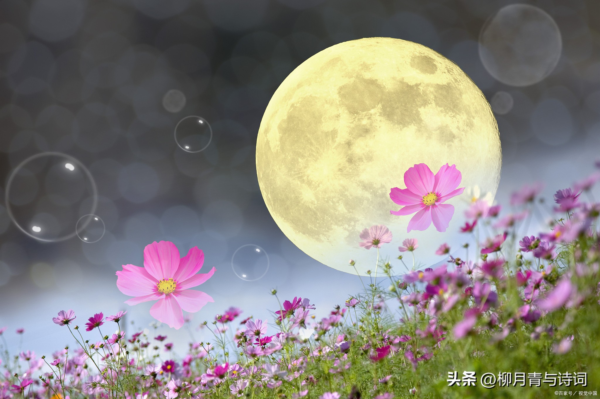 Four classic poems about the autumnal equinox, some are quiet and ...
