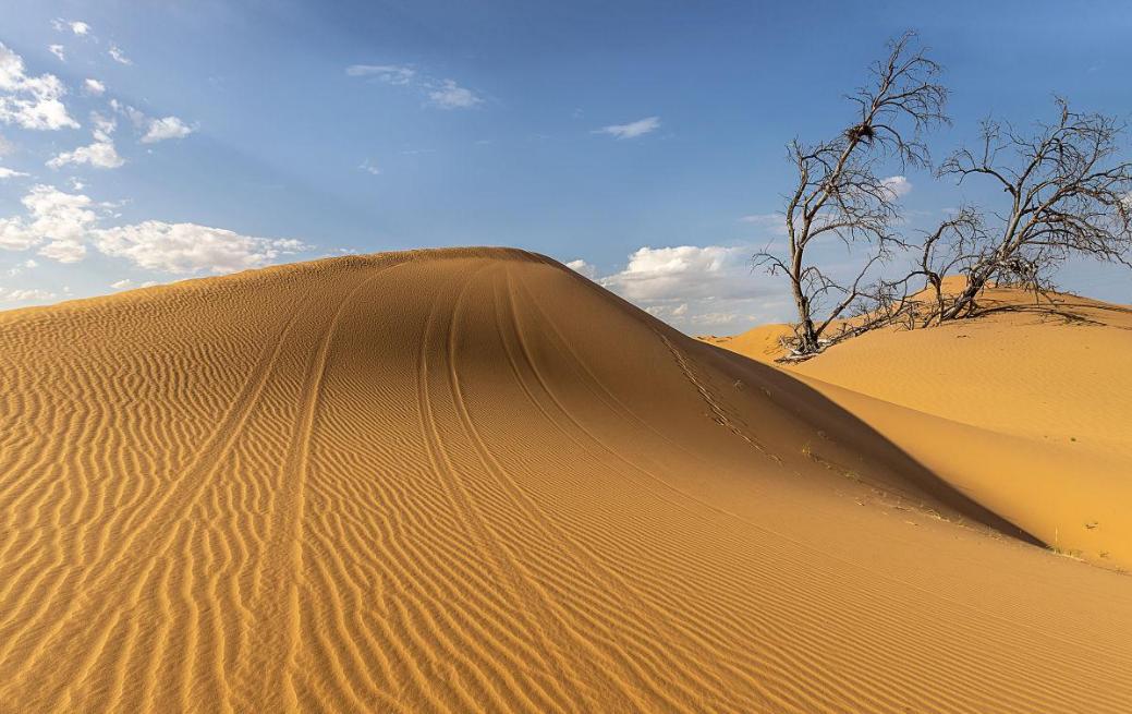 Analysis: Wonderful and Mysterious Desert, Desert Ecosystem, Landform ...