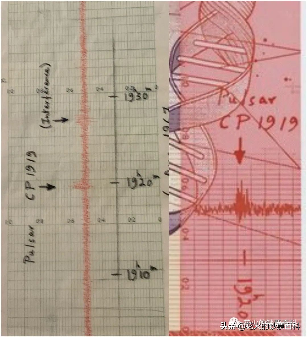 Ulster Bank in Northern Ireland unveils new £50 plastic note on Women's ...
