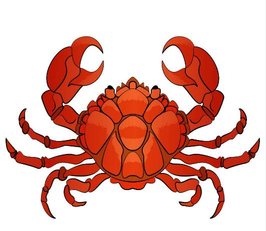 The mystery of the crab is revealed, why the crab walks sideways - iNEWS