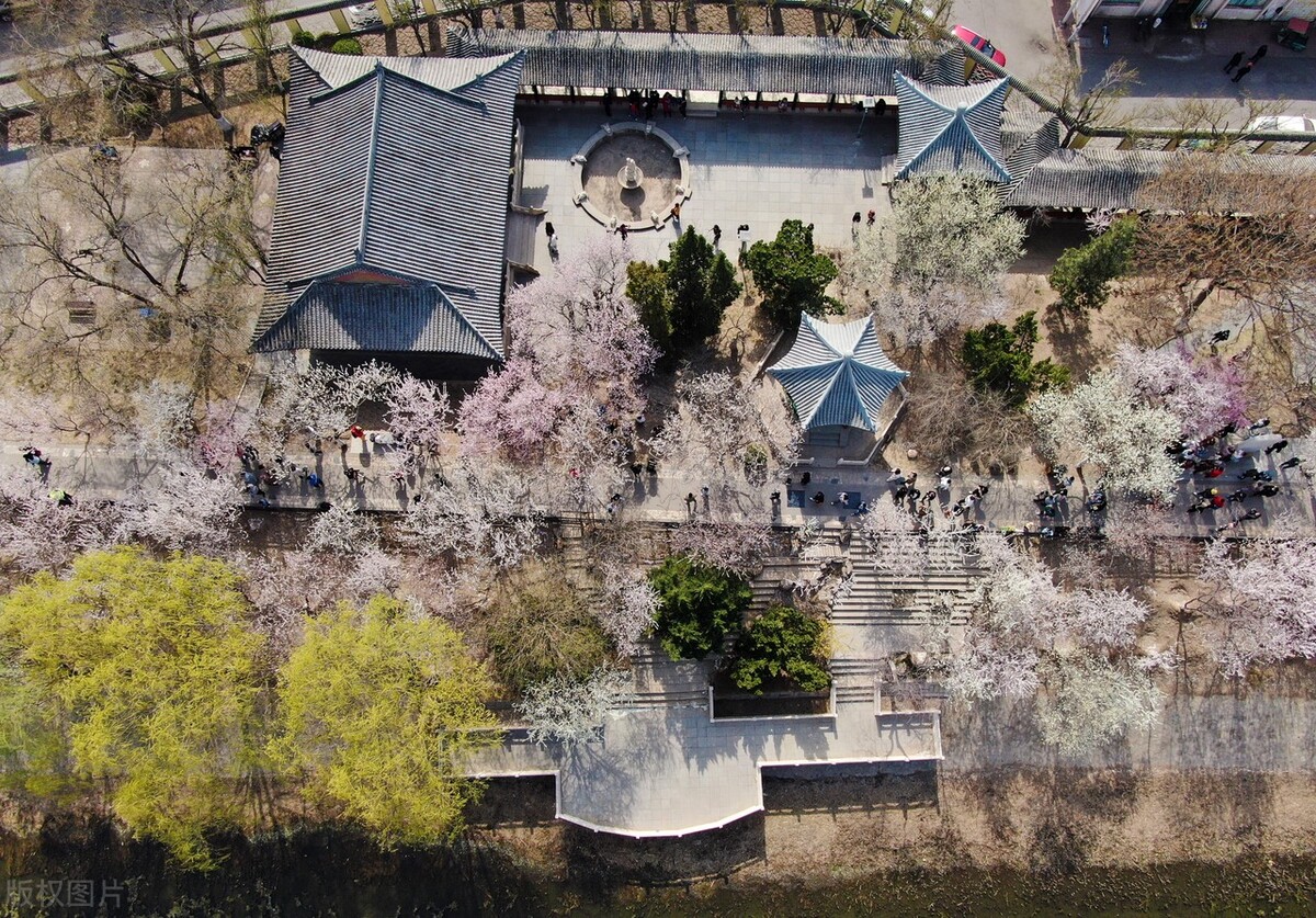 Tianjin at the Spring Equinox - iMedia