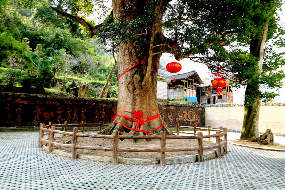 How expensive is nanmu, a tree can be exchanged for a Beijing courtyard ...