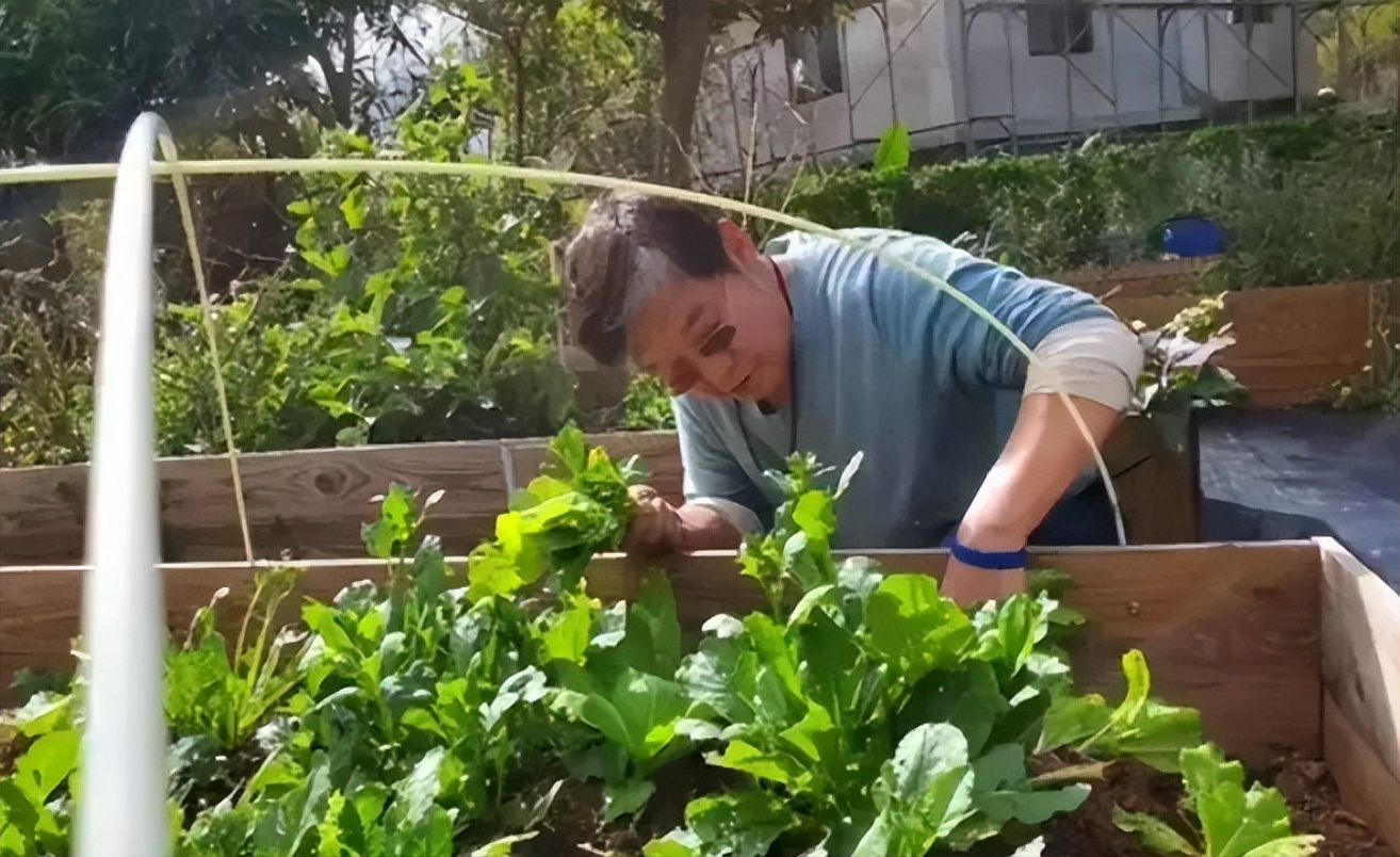 Ruby Lin teased Li Liqun: How much money did you make this year?Li ...