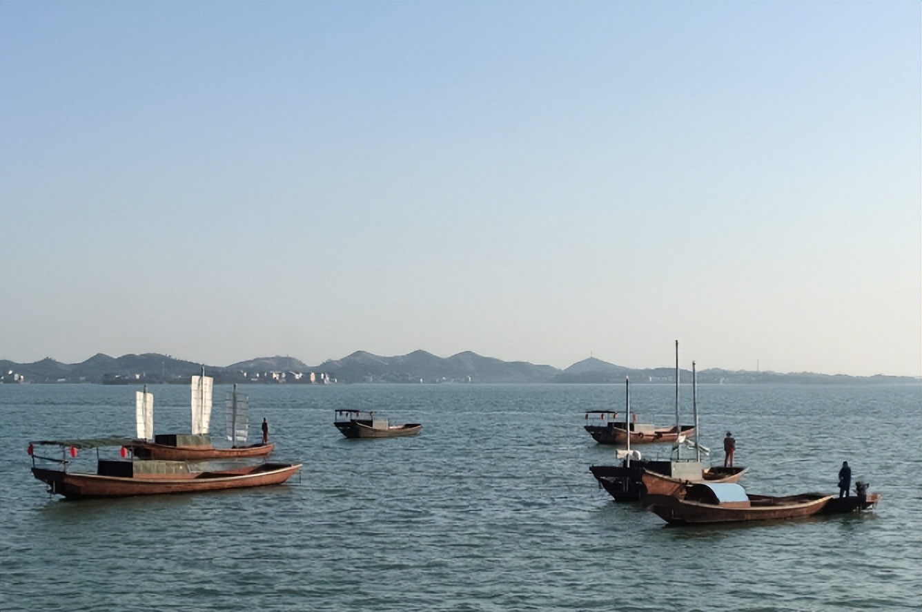 Poyang Lake is seriously silted up, and a large number of fish are ...
