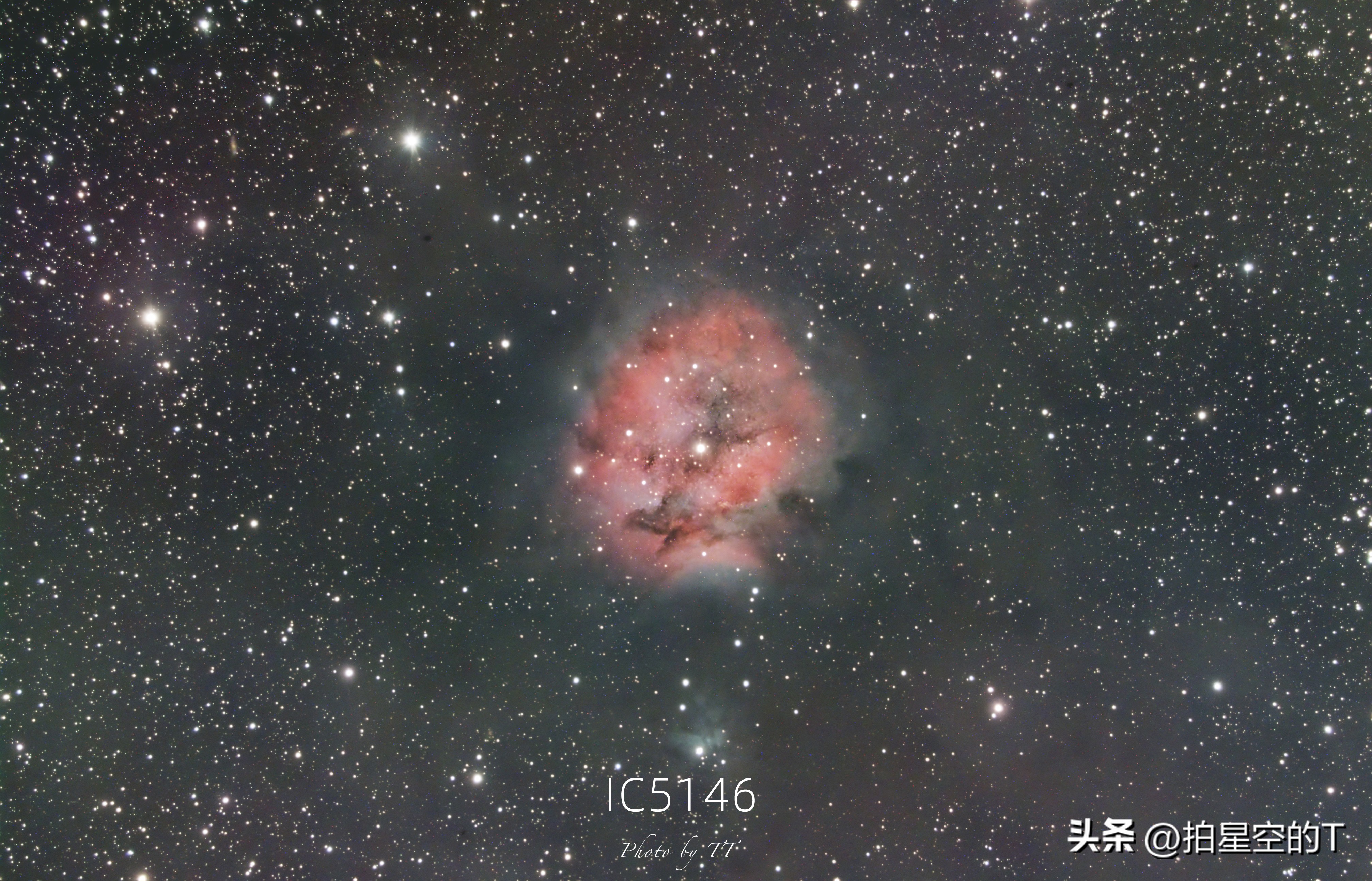 Those charming small celestial bodies in the night sky (3) - iMedia