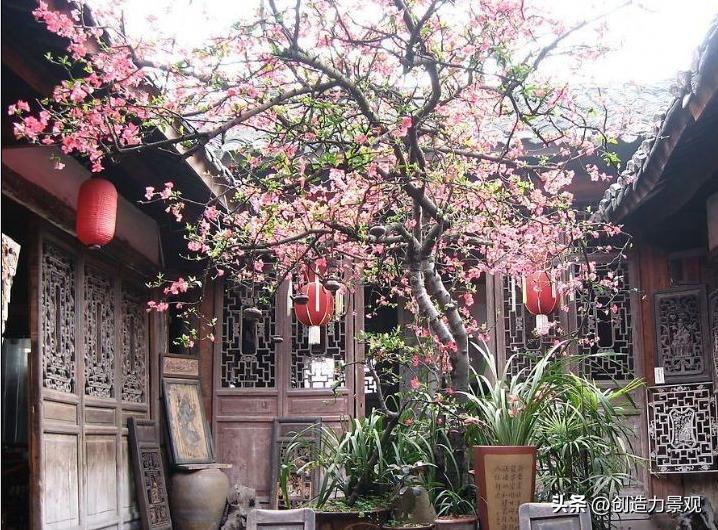 Garden Knowledge Sharing: Plant Feng Shui - iNEWS