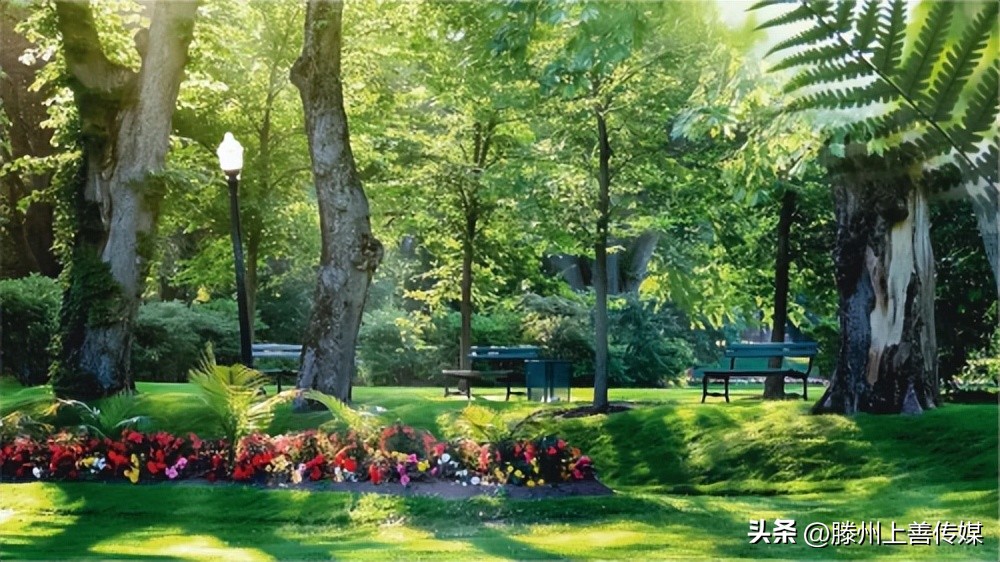 Hongwan: Explore the limited colors of summer and experience the ...