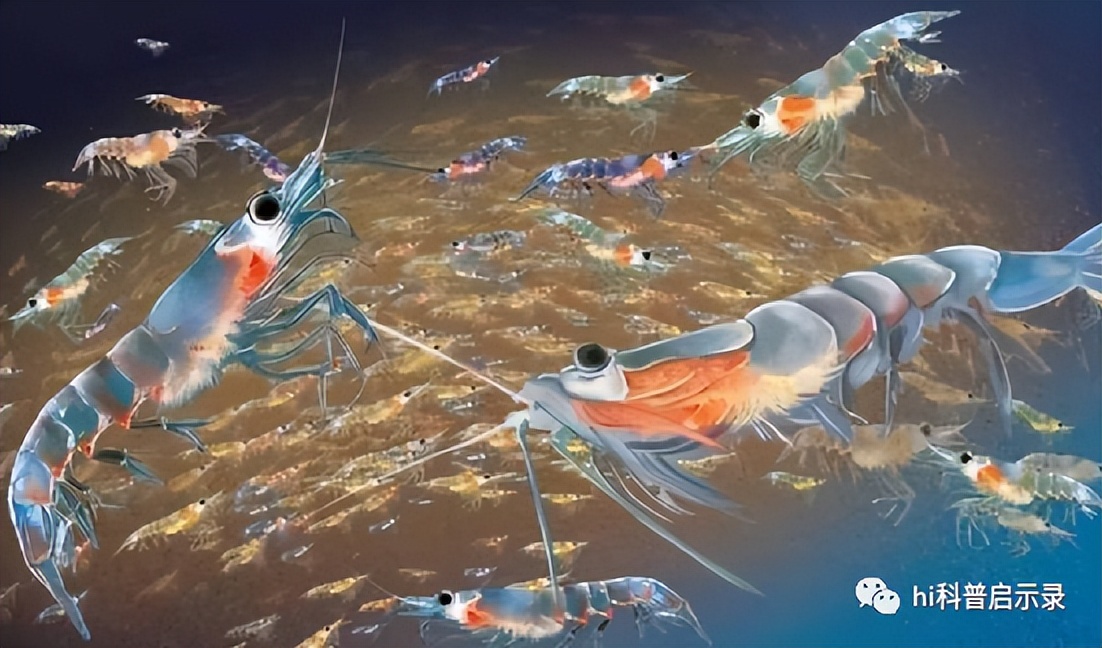 300 million tons are eaten every year, known as the "protein pool" of ...