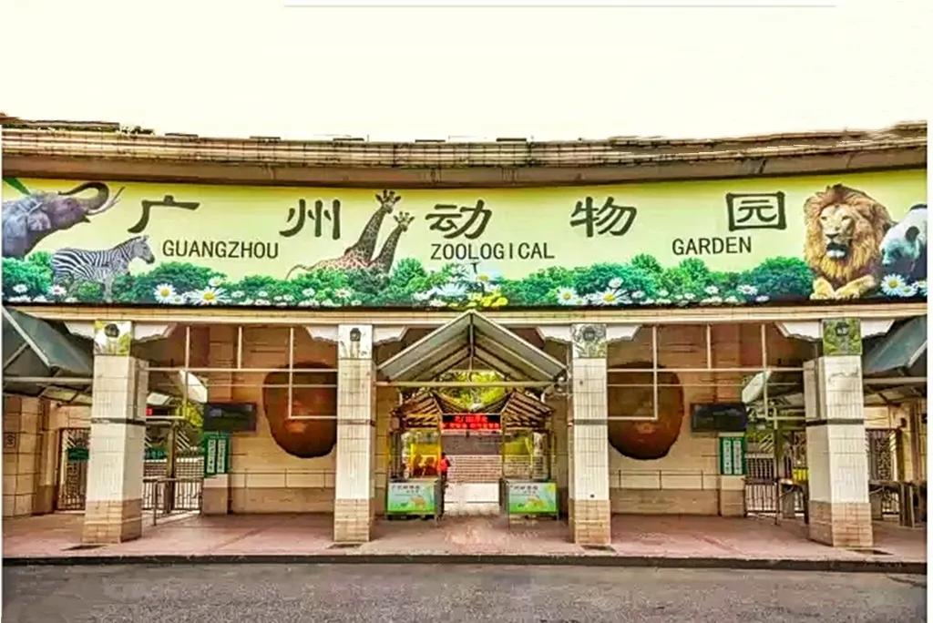 Guangzhou Zoo - iNEWS