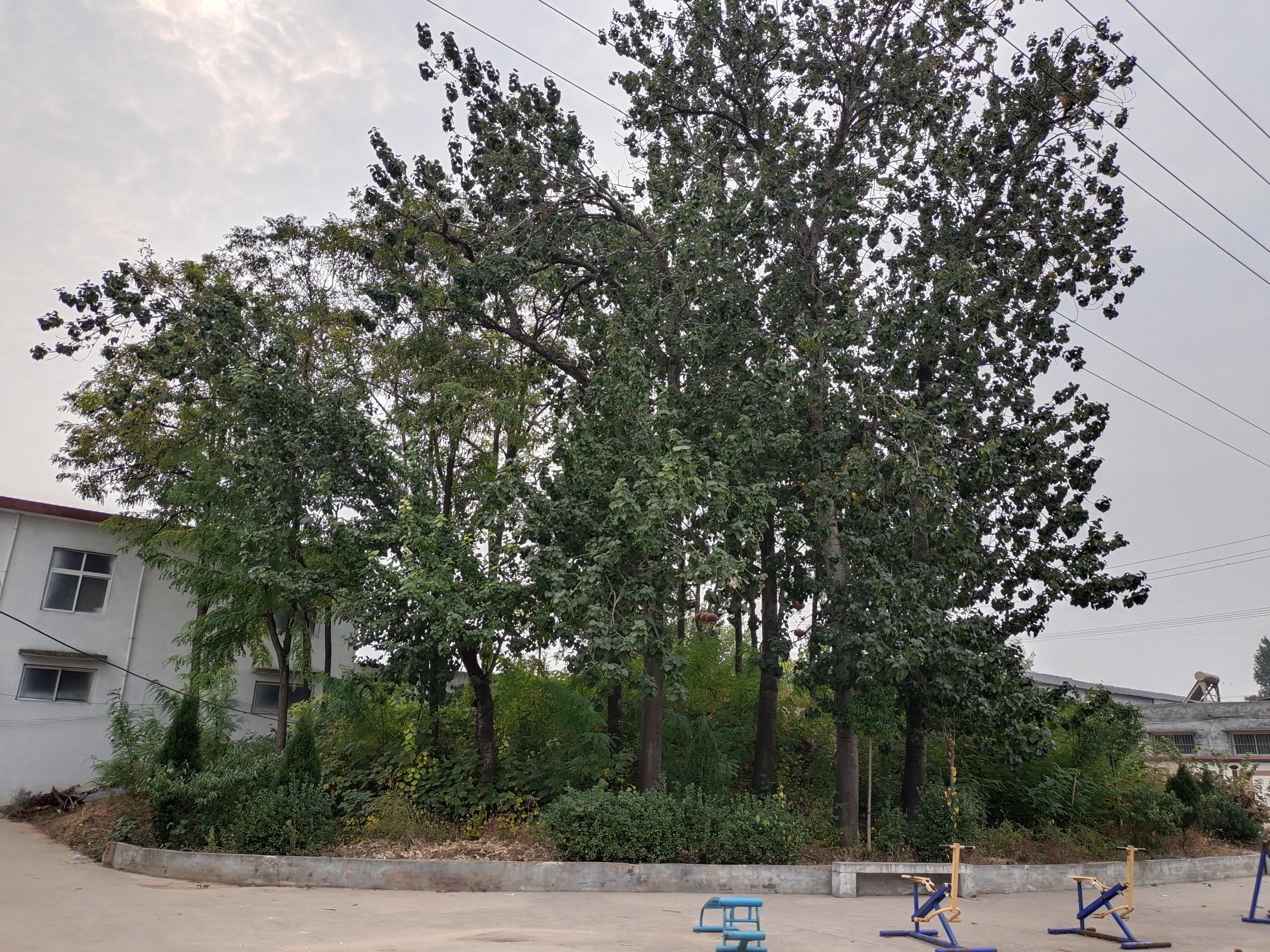 Who killed Ma Teng, General Ma Teng?Buried where? - iNEWS