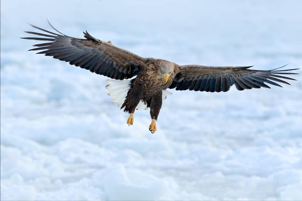 God of Light: The Love, Adventure, and Glory of Apollo - iNEWS