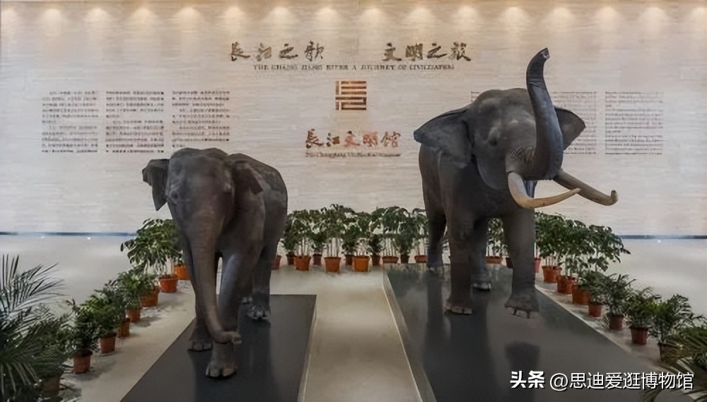 Museum Vol.137 - iNEWS