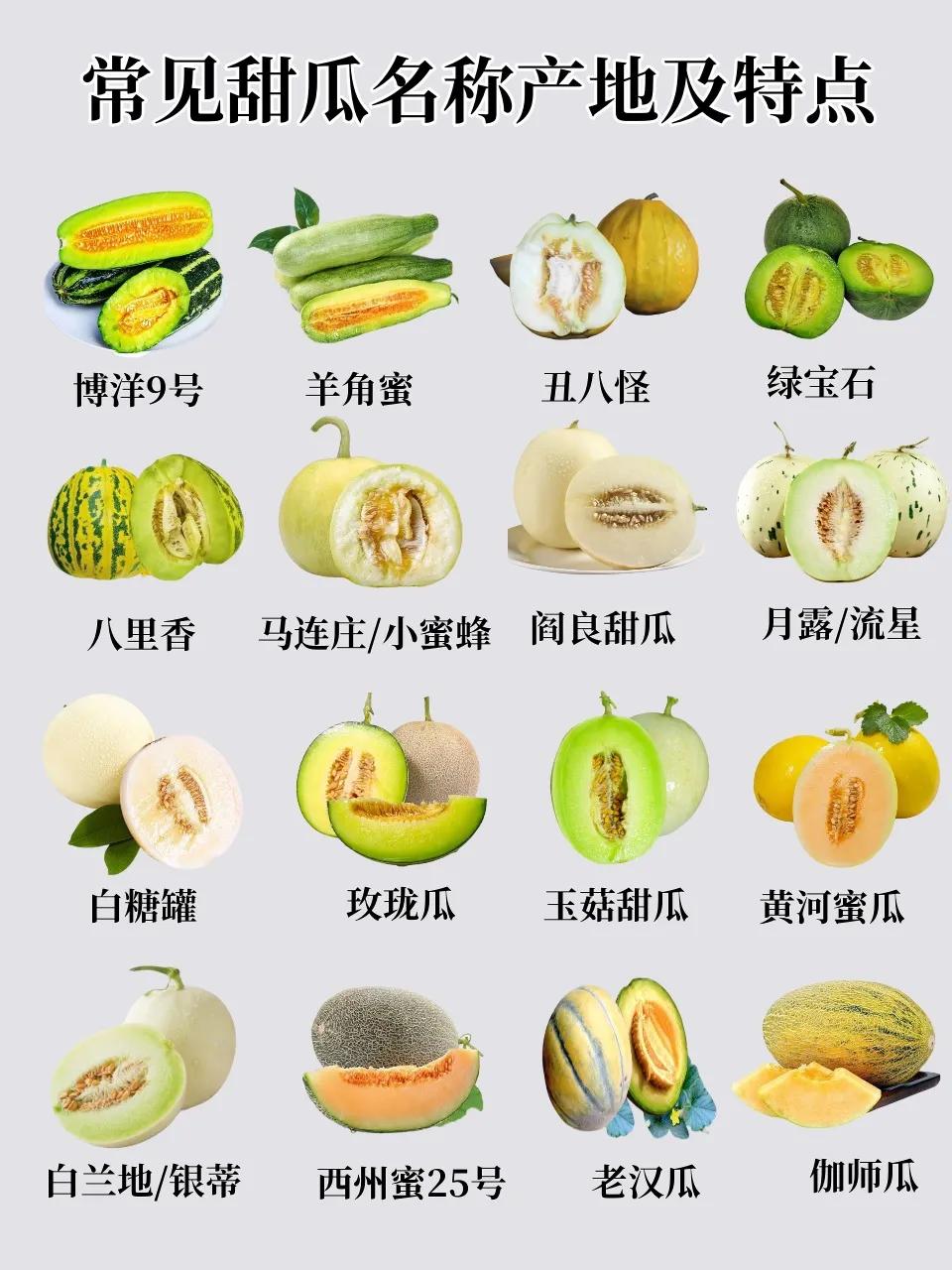 It's summer melon season again! Attached are common melons and ...