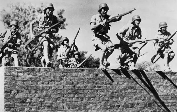 The last glory of the German Armourer: The 36th Division was tough and ...