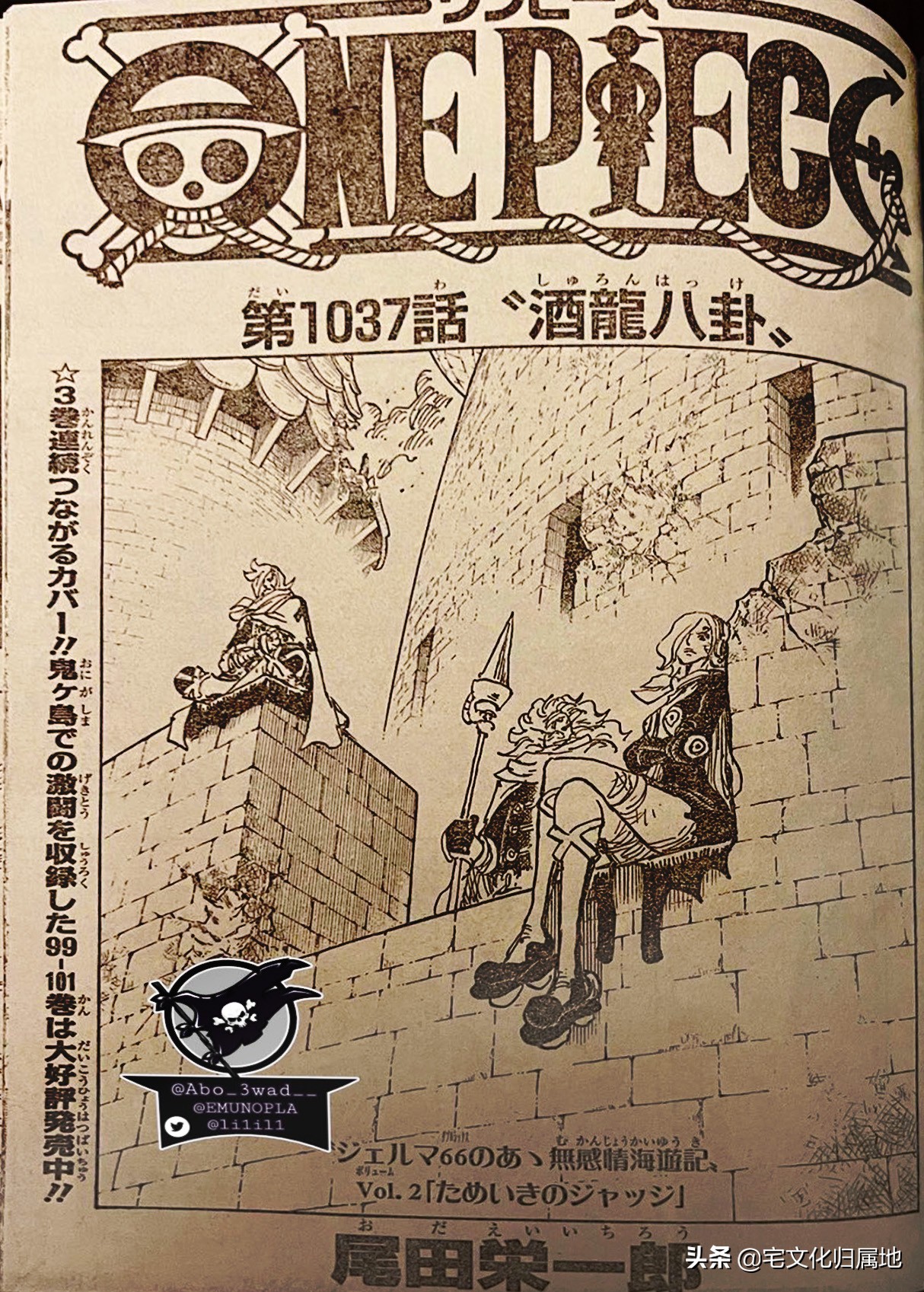 One Piece Chapter 1037 "Personal Sinicization" Kaido's Drunken Fist ...