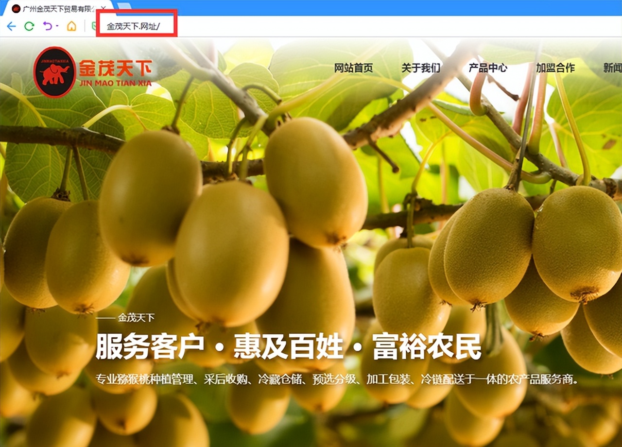 Website domain name Jingke.com helps Guangzhou Jinmao Tianxia register ...