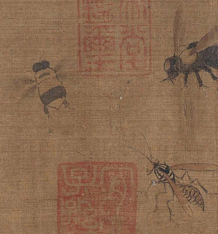 The Five Dynasties Huang Quan's "Sketch of Rare Birds": The beard and ...