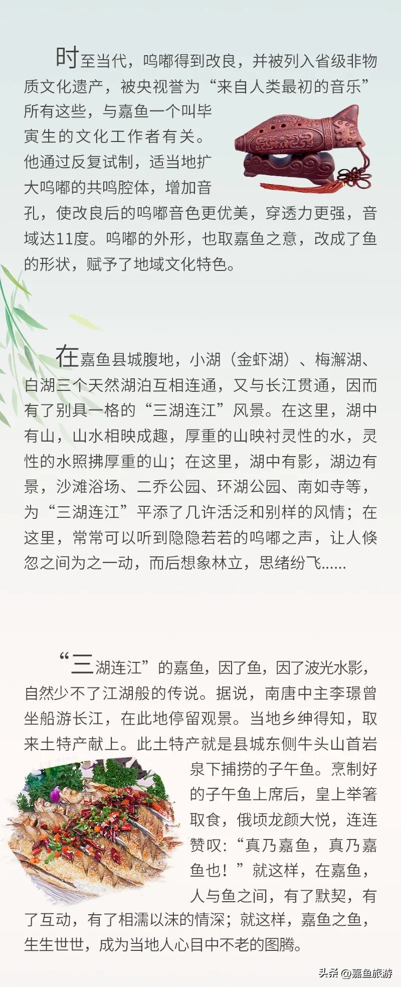 There are chia fish in the south of the waves - iMedia