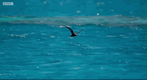 Beautiful enough to take screenshots as screensavers, these 6 beautiful ...