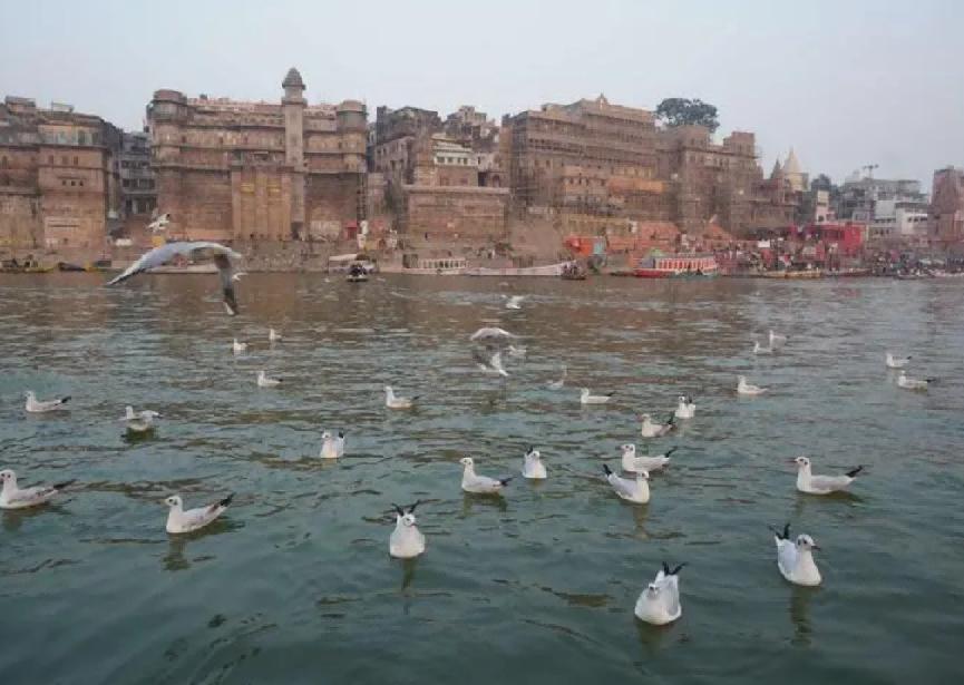 Ashes, poop, superbugs! The water of the Ganges River has been spoiled ...