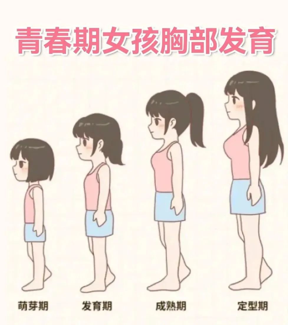 About the child's breast development, mothers should know this! - iNEWS