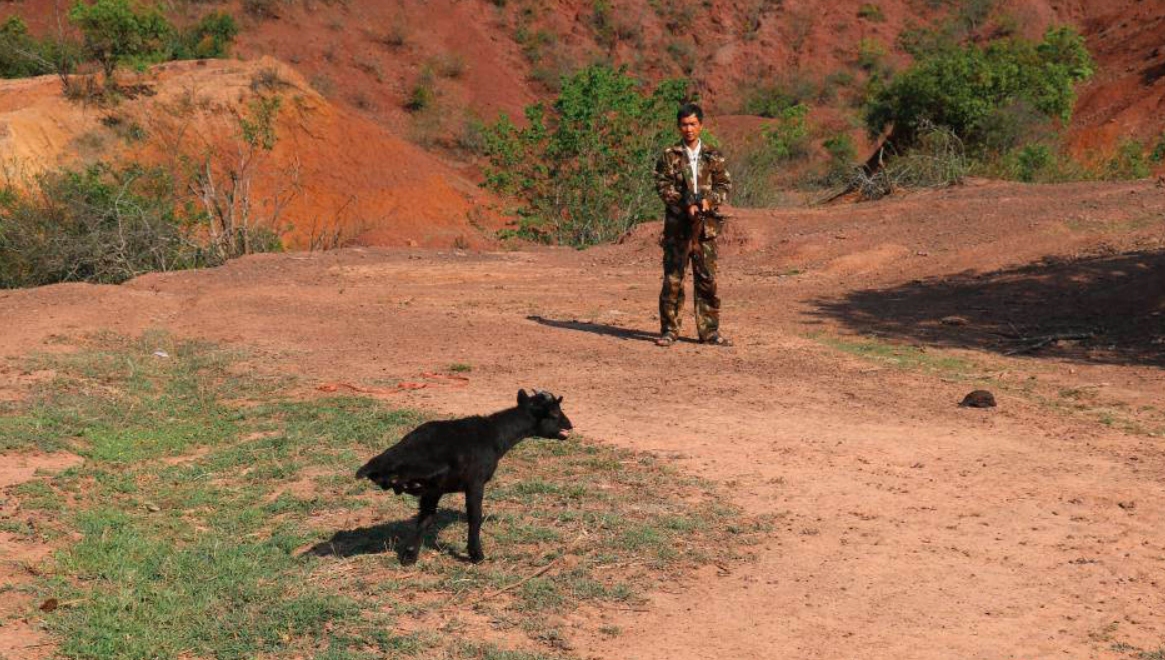 Are sheep really the devil incarnate?Japanese farm black sheep learn to ...