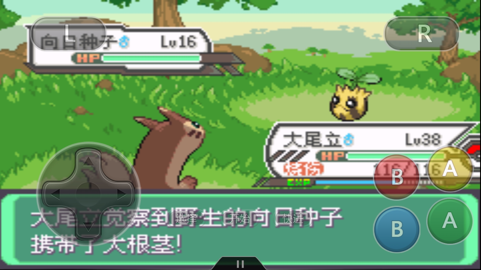 Pokemon: The pinnacle of grass?Pokémon with 100% large rhizomes - iNEWS