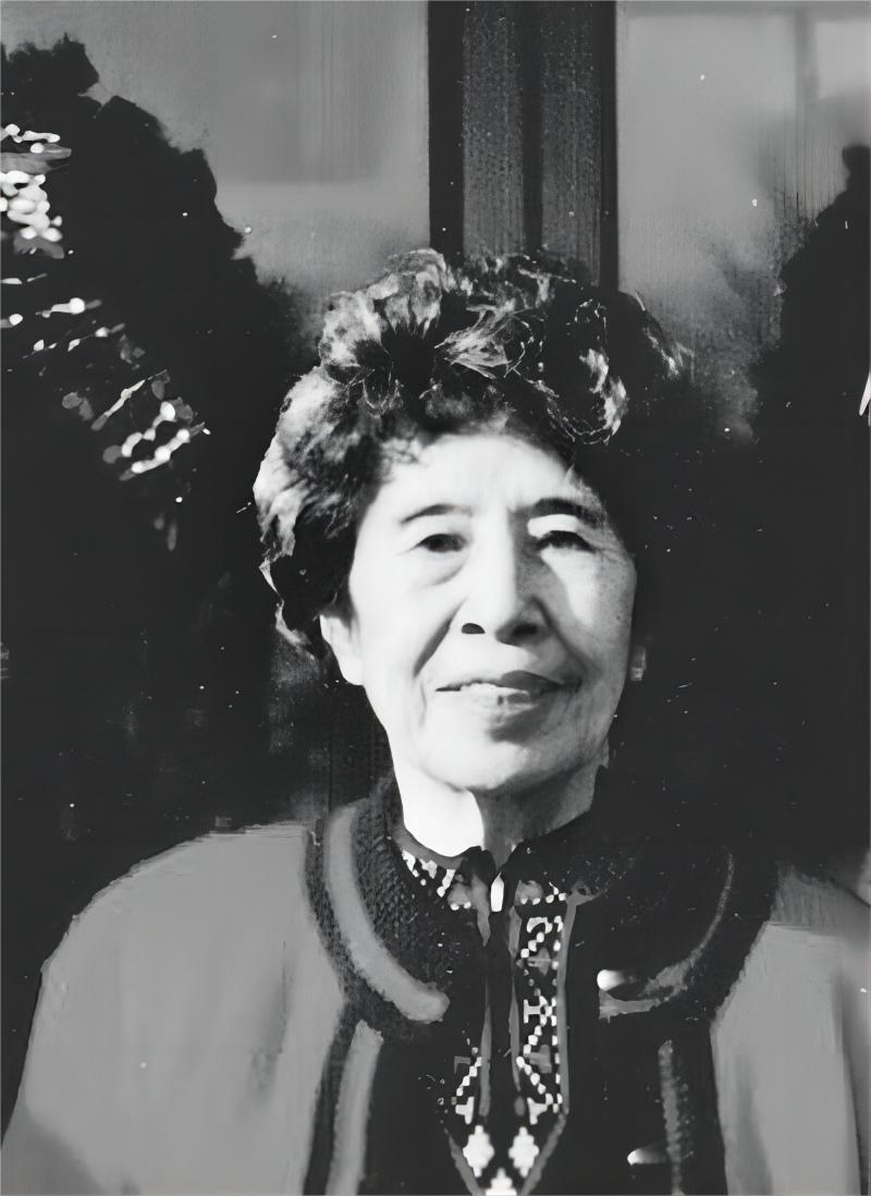 Mei Niang: a female writer in the Republic of China, as famous as Zhang ...