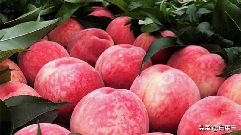 Peach: the choice of fruit that symbolizes sweetness - iNEWS