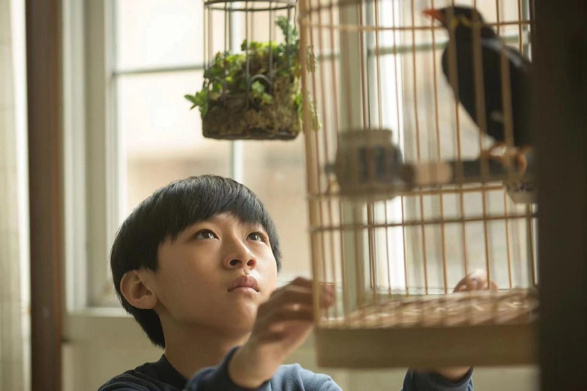 He performed "Grandpa and Grandson Journey" with Yang Xinming, and Hu ...