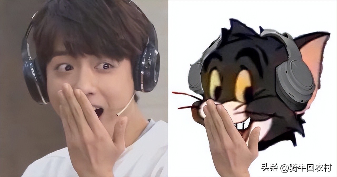 Xiao Zhan hits the dog's expression bag - iMedia