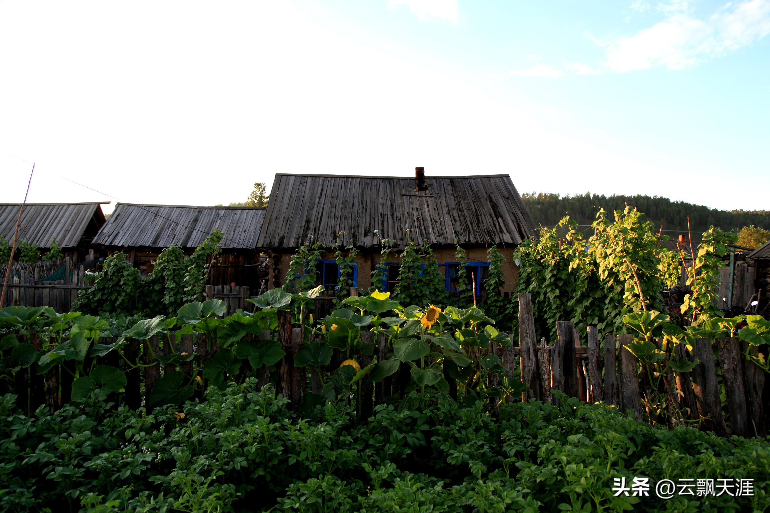 Beihong Village is like a paradise - iNEWS