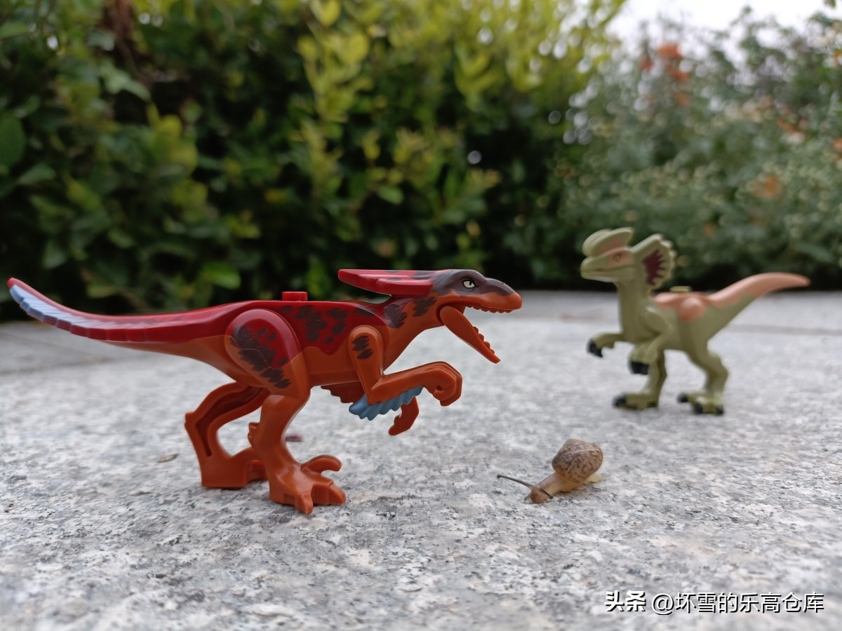 The new Pyroraptor is here!Will you start?Try the LEGO Jurassic Double ...