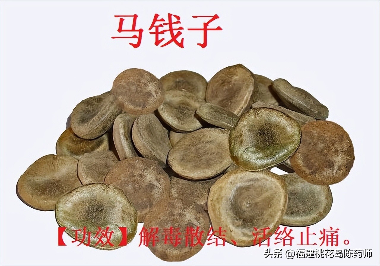 Plant-based poisonous traditional Chinese medicine (part 2)—① - iNEWS