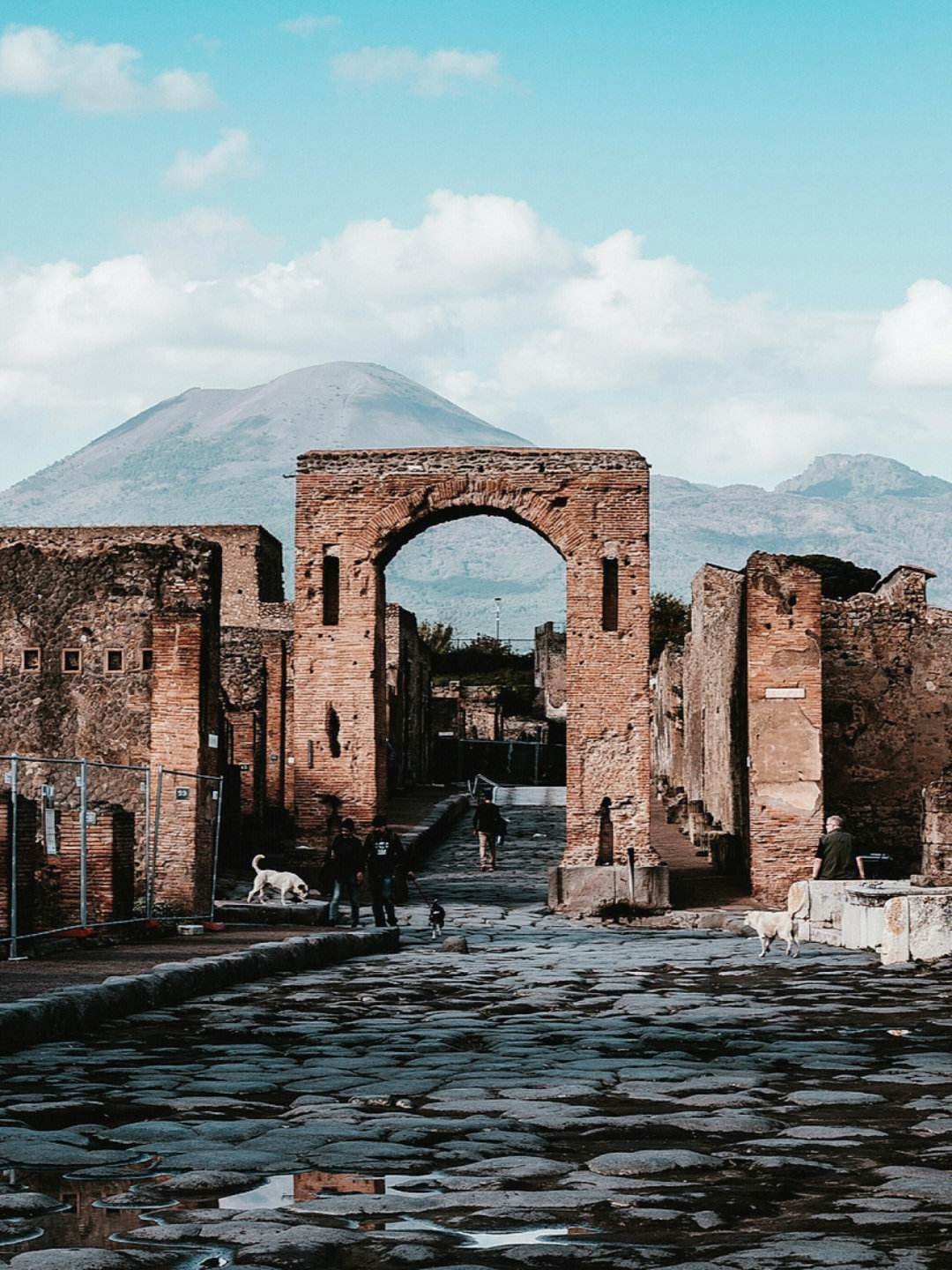 What is the historical background of the Romanization of Pompeii? What ...