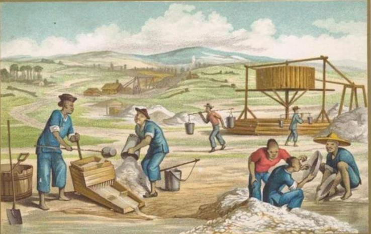 Why did Australia have a gold rush in the middle of the 19th century ...