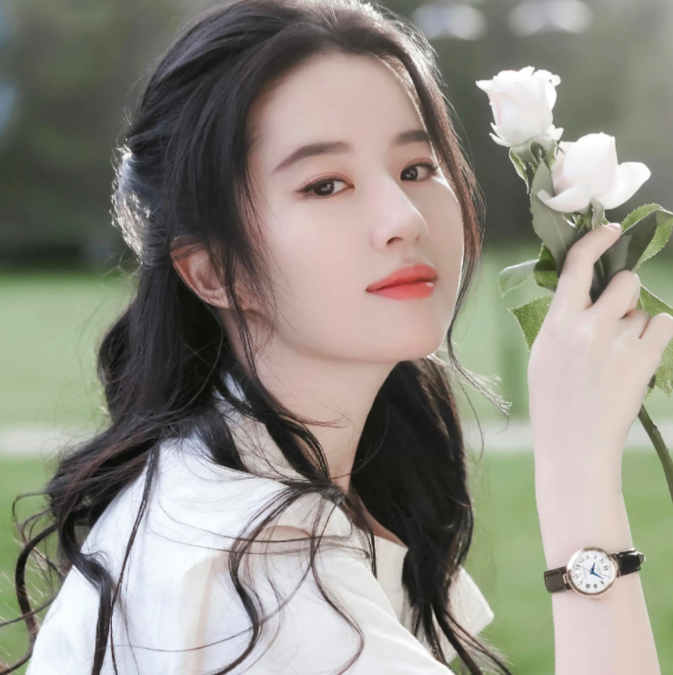 "Fairy Mother" Liu Xiaoli: I give up my career for love and my family ...