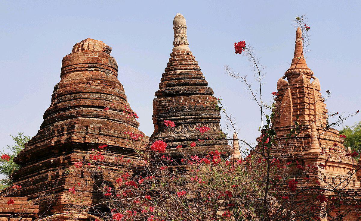 Saving a life is better than building a seven-level pagoda. What does ...