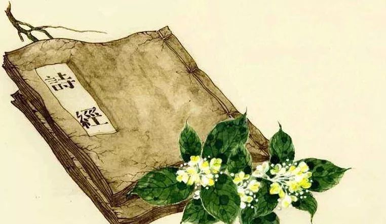 The King of Herbs - Wormwood - iNEWS