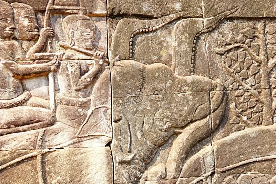 The important role and characteristics of elephants in ancient Roman ...