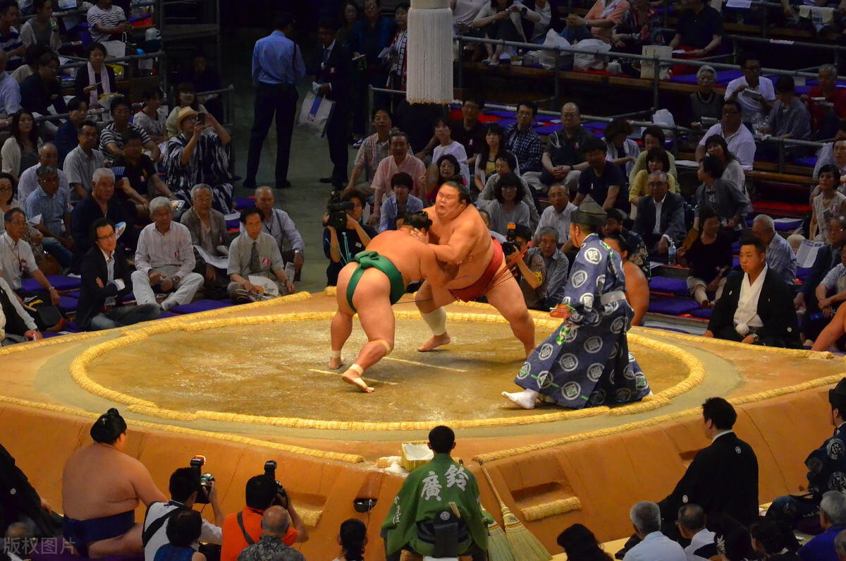 Revealed: Why are Japanese women willing to marry sumo wrestlers ...