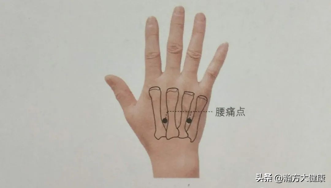 Two acupuncture points on the back of the hand can help you quickly ...