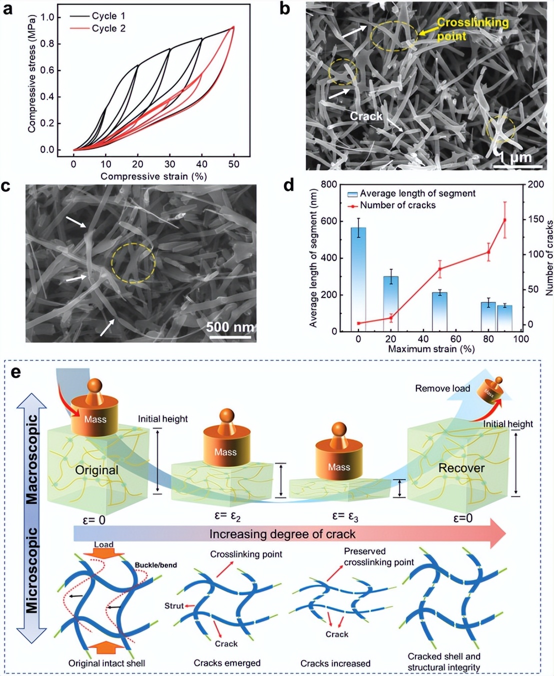 "AFM》: Superelastic, strength-tunable carbon nanotube sponge - iMedia