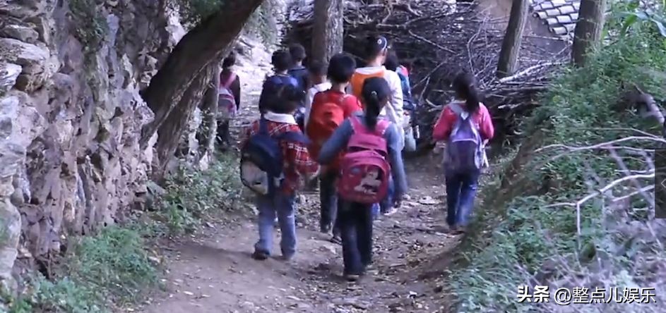 From a rural singer to the Spring Festival Gala, why did Wang Qi become ...