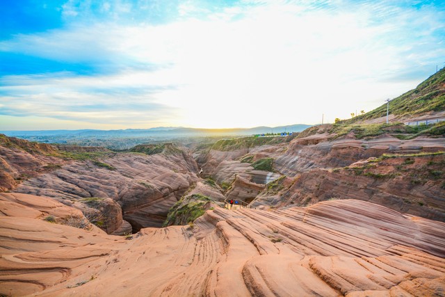 The landform of the wave valley is trampled by aunts, and action is ...