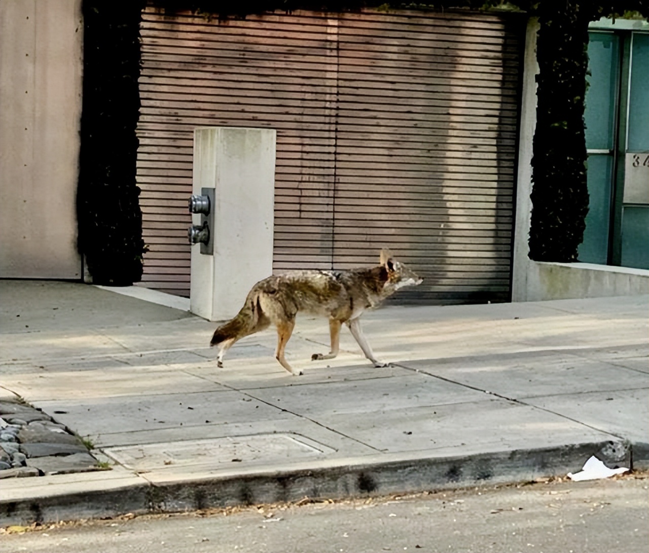 The BBC's most "horror" documentary makes people shudder to watch - iNEWS