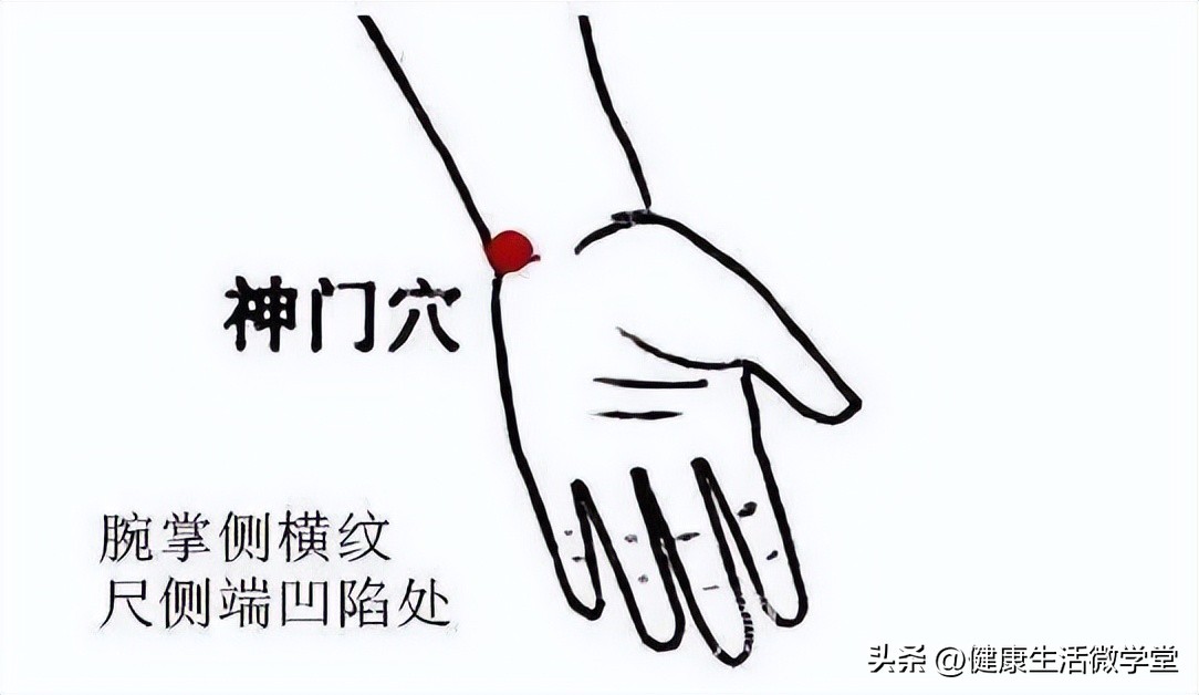 Twelve Meridians Study (5): The Heart Meridian of Hand Shaoyin and the ...