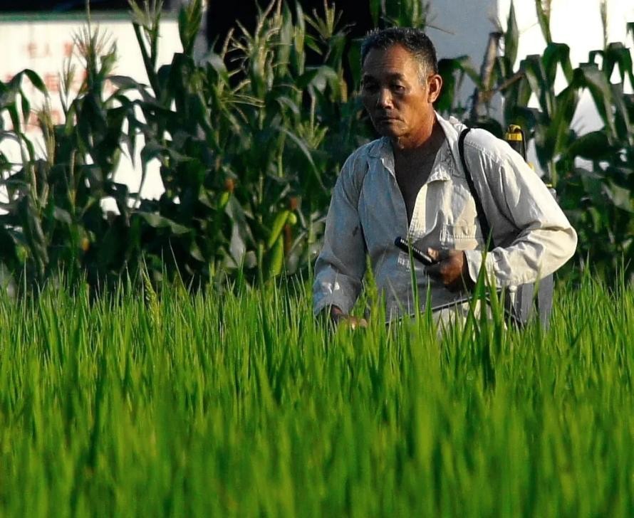 There is a common saying in the countryside: "It is better to live in ...