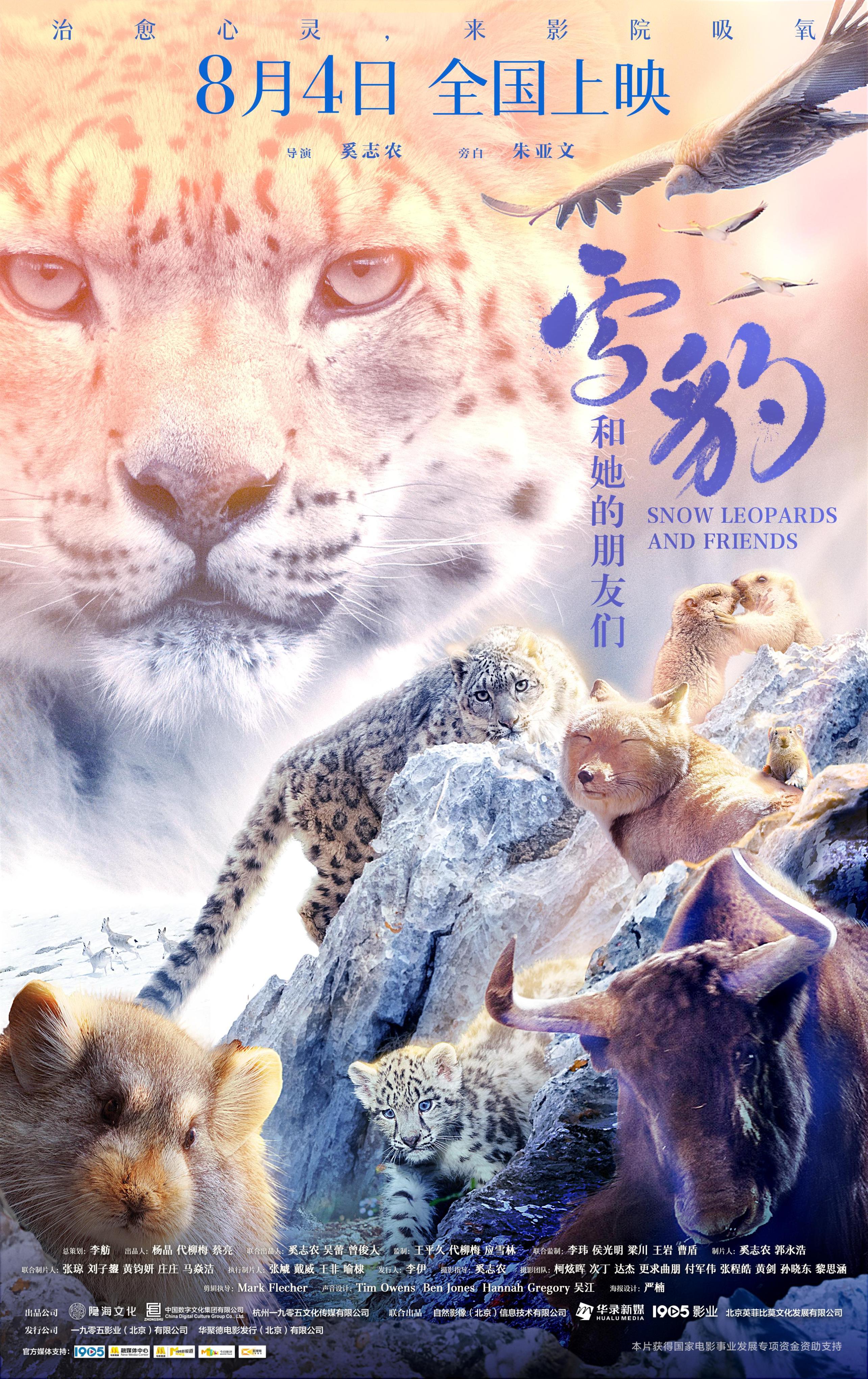 "Snow Leopard and Her Friends" has been sharpening its sword for six ...