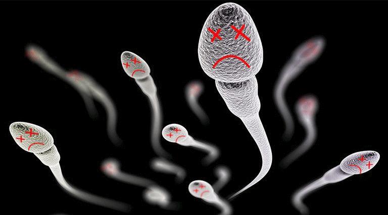 Whitewashing "tadpoles" - popular science sperm - iNEWS